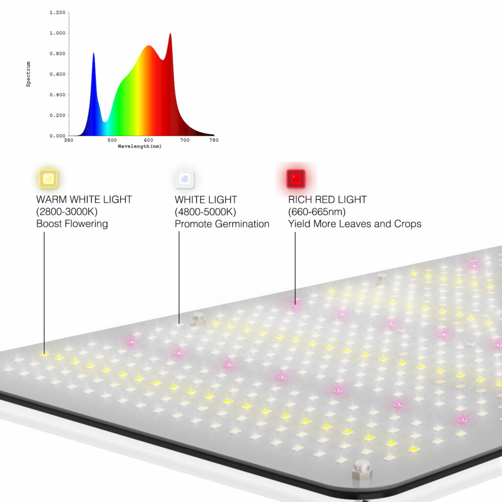 120W & 240W Quantum Board LED Grow Light - TUBU