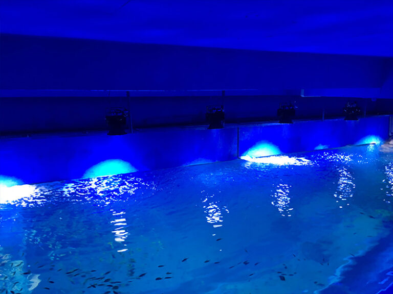 Full Spectrum LED Aquarium Light - TUBU